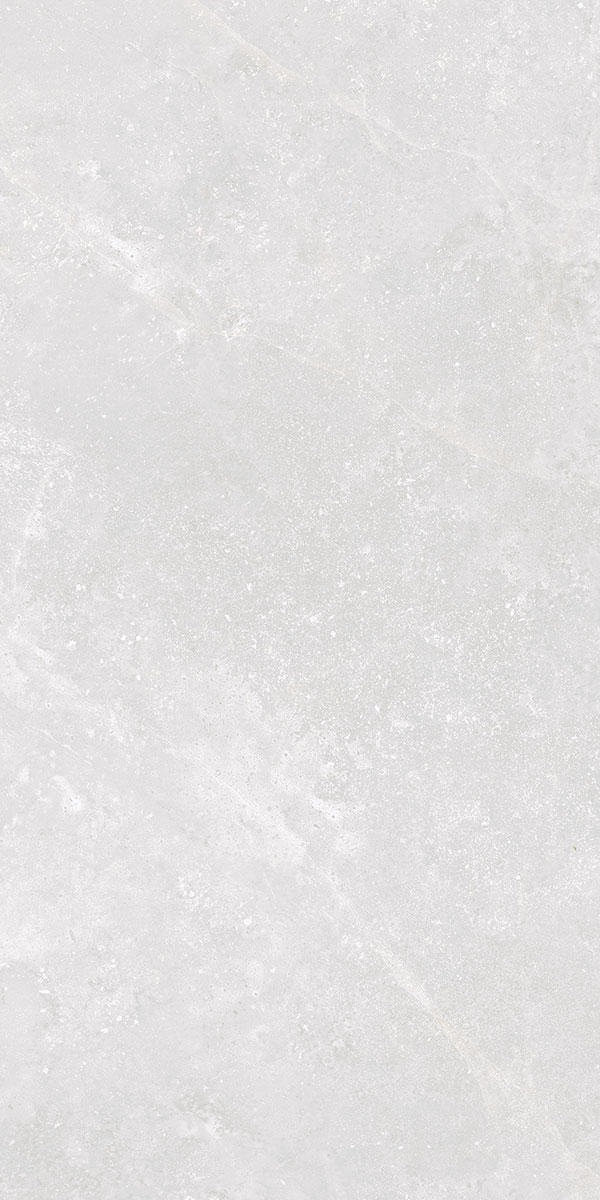 Tropical-Silver Color Tiles Pvt.Ltd